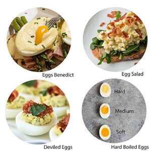 Hamilton Beach Electric Hard Boiled Egg Cooker, 3-in-1: Boiled Egg Cooker, Poacher & Omelet Maker, Can Hold 7 Eggs, Black with Silver Knob (25500)