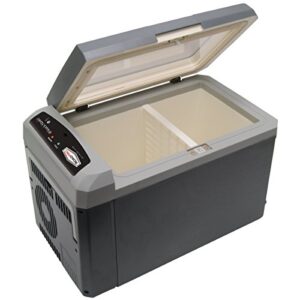 RoadPro RP5653SF 12-Volt Snackmaster Cooler/Warmer, Medium, Gray