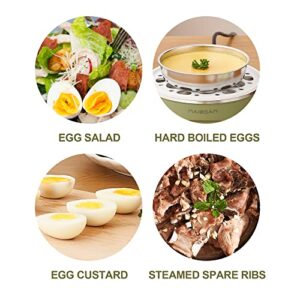 Naibson Rapid Electric Egg Cooker and Poacher with Auto Shut Off for Omelet, Soft, Medium and Hard Boiled Eggs - 7 Egg Capacity Tray, Single Stack, Green