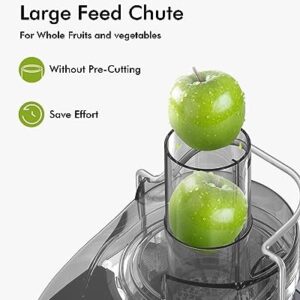 Juicer Machine, SiFENE 1300W(Peak) Moto Larger 3.2" Mouth Centrifugal Juicer Extractor Maker, Juice Squeezer for Whole Fruits and Vegetables, Dual Speeds,Easy to Clean, BPA Free