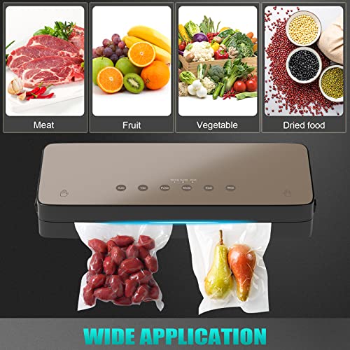 Vacuum Sealers, YUCHENG Vacuum Food Sealer Machine Dry/Moist Mode with Air Sealing System for Sous Vide and Food Storage, Food Saver Vacuum Sealer with 10 Vacuum Seal Bags & 1 Air Suction Hose-Gold 14”