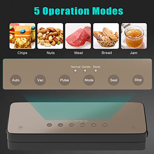 Vacuum Sealers, YUCHENG Vacuum Food Sealer Machine Dry/Moist Mode with Air Sealing System for Sous Vide and Food Storage, Food Saver Vacuum Sealer with 10 Vacuum Seal Bags & 1 Air Suction Hose-Gold 14”