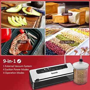 Food Vacuum Sealer Machine - Daintii Compact Pro Food Sealer for Dry & Frozen Freshness Preservation & Sous-Vide Cooking, Include User-friendly Starter Kit, Stainless Steel (Silver)