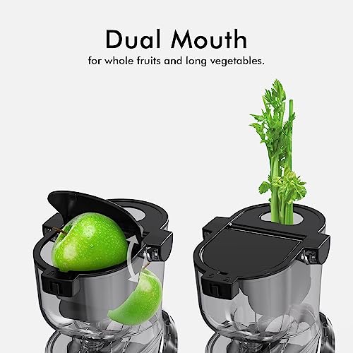 Slow Masticating Juicer Machines with Big Mouth 3.2" Feed Chute, SiFENE Whole Slow Juicer, Vertical Cold Press Juice Extractor for Vegetables and Fruits, BPA Free, Easy to Clean