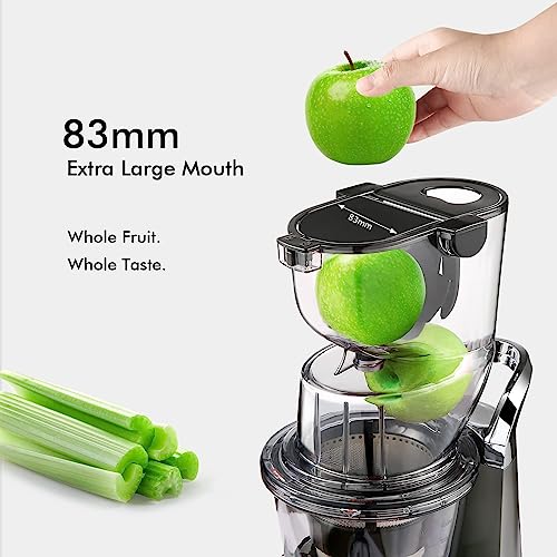 Slow Masticating Juicer Machines with Big Mouth 3.2" Feed Chute, SiFENE Whole Slow Juicer, Vertical Cold Press Juice Extractor for Vegetables and Fruits, BPA Free, Easy to Clean