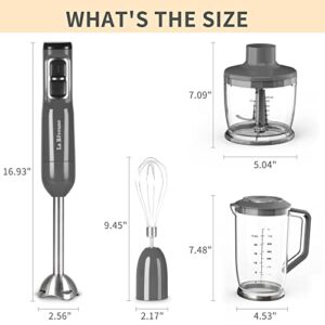 La Reveuse Immersion Hand Blender, 3 in 1, 300 Watts 2 Speeds Multi-purpose with Whisk,Mixing Beaker,Food Chopper Grinder attachments