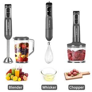 La Reveuse Immersion Hand Blender, 3 in 1, 300 Watts 2 Speeds Multi-purpose with Whisk,Mixing Beaker,Food Chopper Grinder attachments