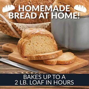 HomeCraft HCPBMAD2WH Bread Maker with Auto Fruit & Nut Dispenser Makes 2 Lb. Loaf Size, 3 Crust Options, Programmable Settings, 14"D x 16"W x 12"H, White