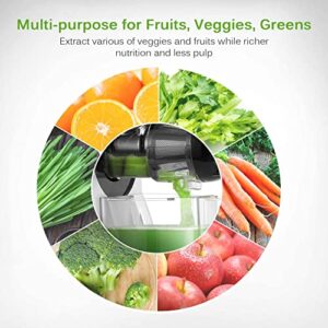 Wheatgrass Juicer Machines, KEDEMAS Cold Press Masticating Juicers for Home, Easy to Clean and Quiet Motor, Reverse Function, Slow Juicers Maker with Juice Cup and Brush for Vegetables and Fruits