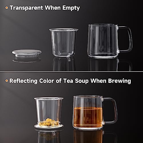 COPOTEA Glass TeaCup with Glass Infuser and Lid, 14.5oz/ 430ml Borosilicate Glass Tea Mug for Warmer Safe, Clear Teacup for Loose Leaf Tea, Blooming Tea