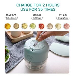 KONBANZE 2-CUP Electric Portable Mini Garlic Onion Chopper Crusher Small Food Processor Mini Food Processor Masher USB Charging Food Vegetable Cutter Kitchen Gadgets (GREEN)