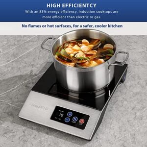 ChangBERT 1800W Induction Cooktop, Portable, Large 8” Heating Coil, 12” Heat-Resistant Cooking Surface, 18/10 Stainless Steel Commercial Grade NSF Certificated Pro Chef Professional Burner for Restaurant