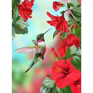 hsenjt diy 5d diamond craft painting kits bird,flowers diamond art for adults kids,hummingbird full drill diamond arts crafts for wall decor gift relaxation 12x16 inch