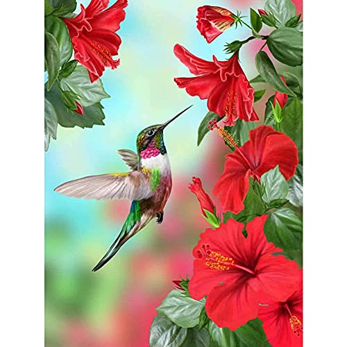 HSENJT DIY 5D Diamond Craft Painting Kits Bird,Flowers Diamond Art for Adults Kids,Hummingbird Full Drill Diamond Arts Crafts for Wall Decor Gift Relaxation 12x16 Inch