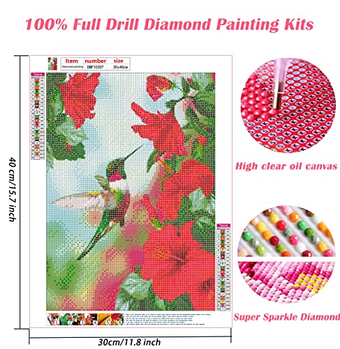 HSENJT DIY 5D Diamond Craft Painting Kits Bird,Flowers Diamond Art for Adults Kids,Hummingbird Full Drill Diamond Arts Crafts for Wall Decor Gift Relaxation 12x16 Inch