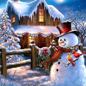 DoMyArt Diamond Painting Kits for Adults, Paint with 5D Crystal Diamonds Art with Accessories Tools(Canvas 15.7 x 11.8 inch) (Christmas Snowman)