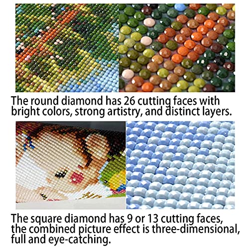 Carpaton Custom 5D DIY Diamond Painting Kits Full Drill for Adults,Personal Customized Gifts,Personalized Diamond Art for Home Wall Decor (11.7x11.7inch/30x30cm, Round Drill)