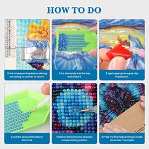 RICUVED Diamond Painting Kits for Adults, Koi Fish 5D Diamond Art Painting Kits Full Round Drill Diamond Dots Art Painting Kits, Diamond Painting for Gift Home Wall Decor 12x12 Inch