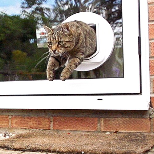 SureFlap Dual Scan Microchip Cat Flap, White