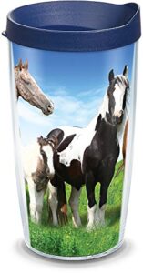 tervis horses made in usa double walled insulated tumbler travel cup keeps drinks cold & hot, 16oz, clear