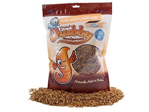 Chubby Mealworms Bulk Dried Mealworms for Wild Birds, Chickens etc. (2Lbs)