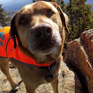 SafetyPUP XD - Reflective Dog Vest. Hi-Visibility, Fluorescent Blaze Orange Dog Vest Helps Protect Your Best Friend. Safeguard Your PUP from Motorists & Hunting Accidents, On or Off Leash. (Large)