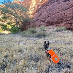 SafetyPUP XD - Reflective Dog Vest. Hi-Visibility, Fluorescent Blaze Orange Dog Vest Helps Protect Your Best Friend. Safeguard Your PUP from Motorists & Hunting Accidents, On or Off Leash. (Large)