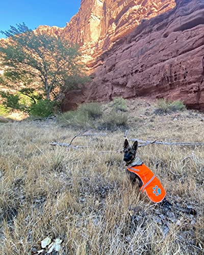 SafetyPUP XD - Reflective Dog Vest. Hi-Visibility, Fluorescent Blaze Orange Dog Vest Helps Protect Your Best Friend. Safeguard Your PUP from Motorists & Hunting Accidents, On or Off Leash. (Large)