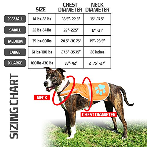 SafetyPUP XD - Reflective Dog Vest. Hi-Visibility, Fluorescent Blaze Orange Dog Vest Helps Protect Your Best Friend. Safeguard Your PUP from Motorists & Hunting Accidents, On or Off Leash. (Large)