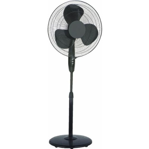 Oscillating Pedestal Fan