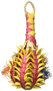 planet pleasures pineapple foraging toy, small