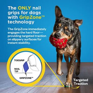 Dr Buzby's Large ToeGrips for Dogs - Instant Traction on Wood/Hardwood Floors - Dog Anti Slip Relief - Dog Grippers for Senior Dogs - Stop Sliding Instantly - Rubber Nails for Dogs - 1 pack (20 grips)