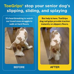 Dr Buzby's Large ToeGrips for Dogs - Instant Traction on Wood/Hardwood Floors - Dog Anti Slip Relief - Dog Grippers for Senior Dogs - Stop Sliding Instantly - Rubber Nails for Dogs - 1 pack (20 grips)