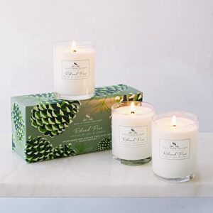 Soap & Paper Factory Roland Pine Votive Trio Gift Set - 3 x 2.4 oz Votive Soy Candles