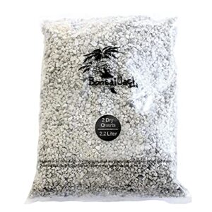 bonsai jack 1/4 inch horticultural pumice soil amendment for cactus and bonsai (2 dry quarts)