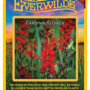 Everwilde Farms - 2000 Cardinal Flower Native Wildflower Seeds - Gold Vault Jumbo Seed Packet