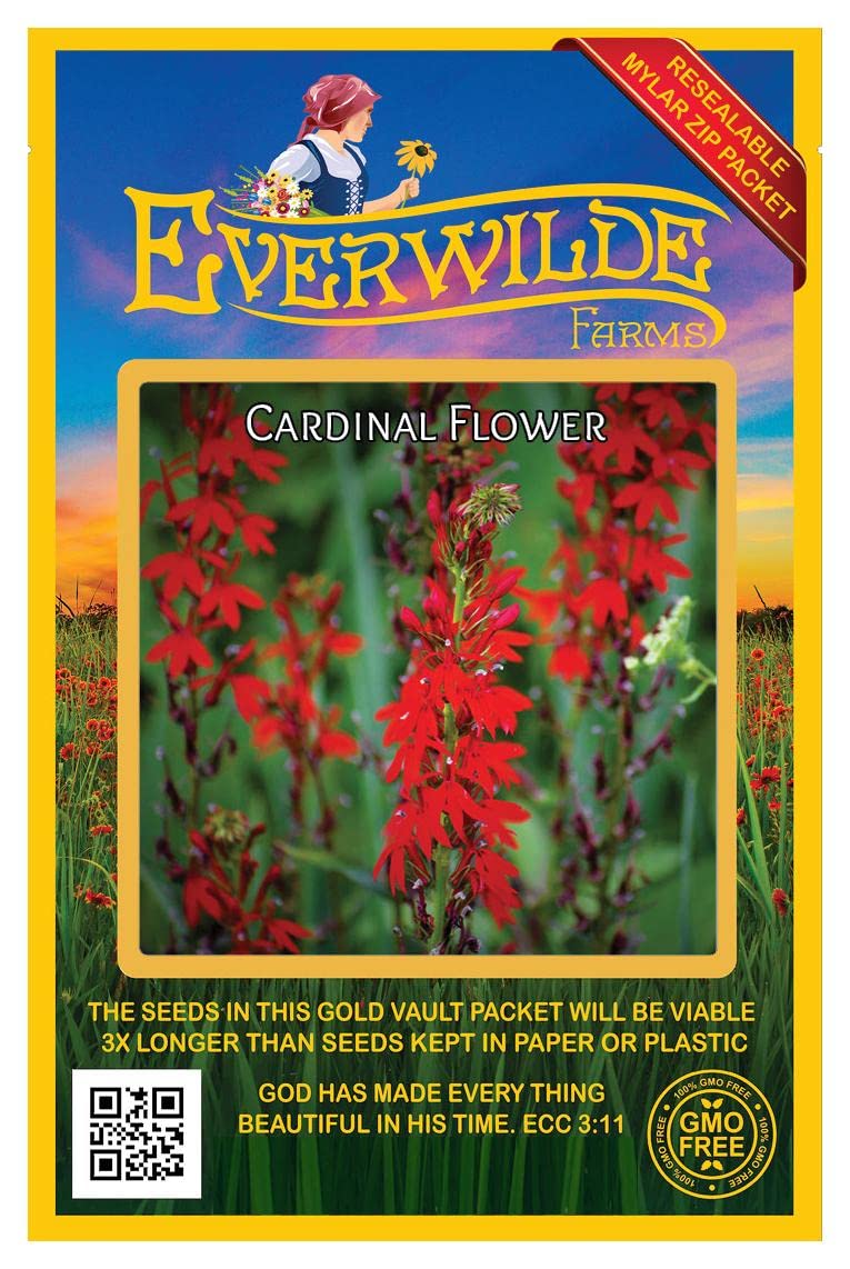 Everwilde Farms - 2000 Cardinal Flower Native Wildflower Seeds - Gold Vault Jumbo Seed Packet