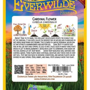 Everwilde Farms - 2000 Cardinal Flower Native Wildflower Seeds - Gold Vault Jumbo Seed Packet