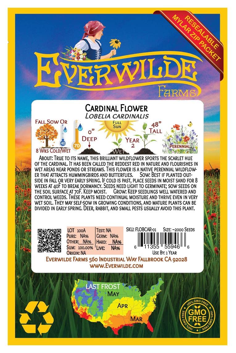 Everwilde Farms - 2000 Cardinal Flower Native Wildflower Seeds - Gold Vault Jumbo Seed Packet