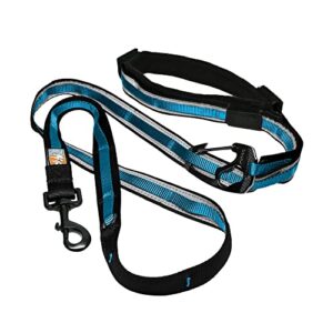 kurgo 6 in 1 hands free dog leash , reflective running belt leash for dogs, crossbody & waist belt leash, carabiner clip, padded handle, for training, hiking, or jogging, quantum leash, coastal blue, large