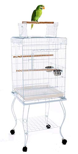 Bird Parrot Cage Cockatiel Amazon African Grey Caique Conure, 20 x 20 x 57 H, White Vein