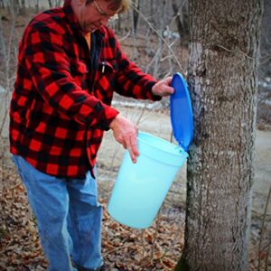 Maple Syrup Tapping Kit - Plastic Bucket, Bucket Lid, and Maple Sap Tapping 5/16" Tree Saver Spile/Spout - (Pack of 2)