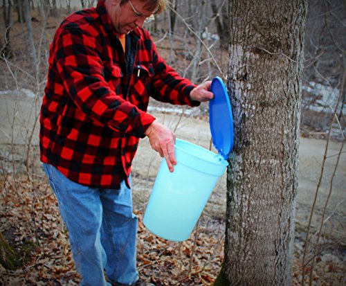 Maple Syrup Tapping Kit - Plastic Bucket, Bucket Lid, and Maple Sap Tapping 5/16" Tree Saver Spile/Spout - (Pack of 2)