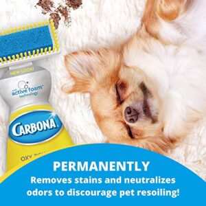 Carbona Oxy-Powered Pet Stain & Odor Remover w/ Active Foam Technology | 22 Fl Oz, 1 Pack