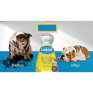 Carbona Oxy-Powered Pet Stain & Odor Remover w/ Active Foam Technology | 22 Fl Oz, 1 Pack