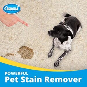 Carbona Oxy-Powered Pet Stain & Odor Remover w/ Active Foam Technology | 22 Fl Oz, 1 Pack