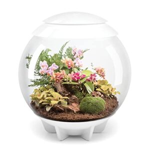 biorb air 60 led terrarium - 16 gallon, white (46147)