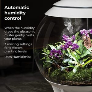 biOrb AIR 60 LED Terrarium - 16 gallon, white (46147)