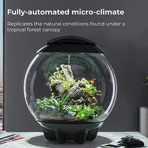 biOrb AIR 60 LED Terrarium - 16 gallon, white (46147)