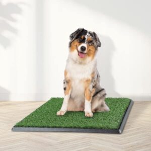 Artificial Grass Puppy Pee Pad for Dogs and Small Pets - 20x25 Reusable 3-Layer Training Potty Pad with Tray - Dog Housebreaking Supplies by PETMAKER